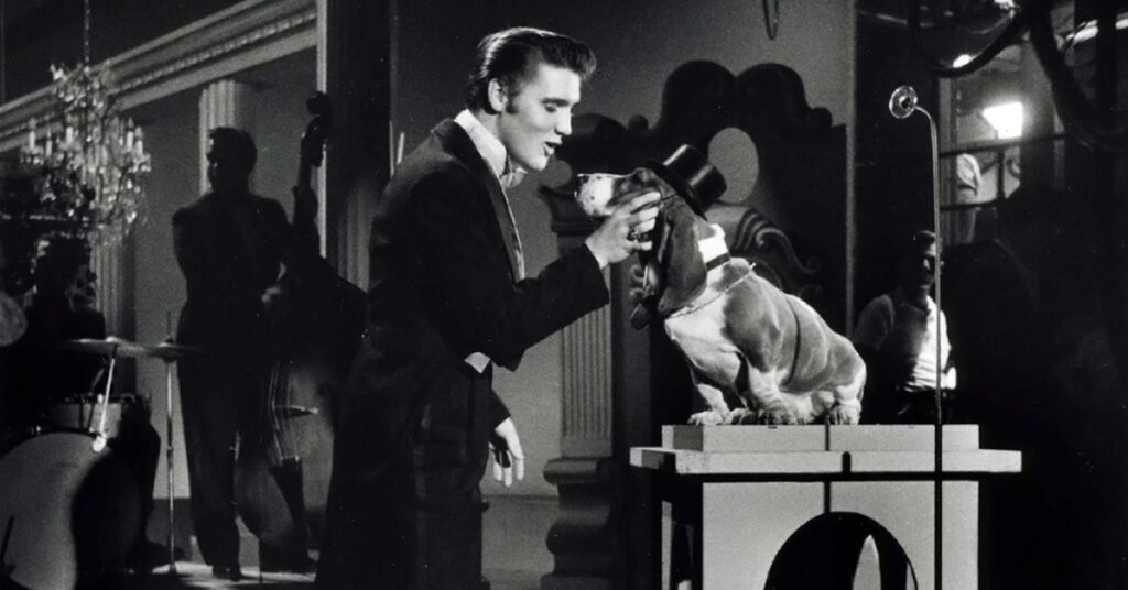 Quando o “novo” Elvis Presley cantou para um cachorro na TV