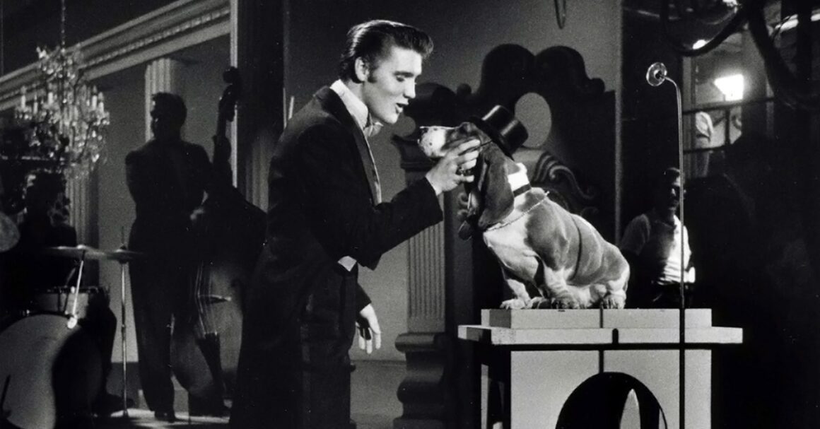 Quando o “novo” Elvis Presley cantou para um cachorro na TV